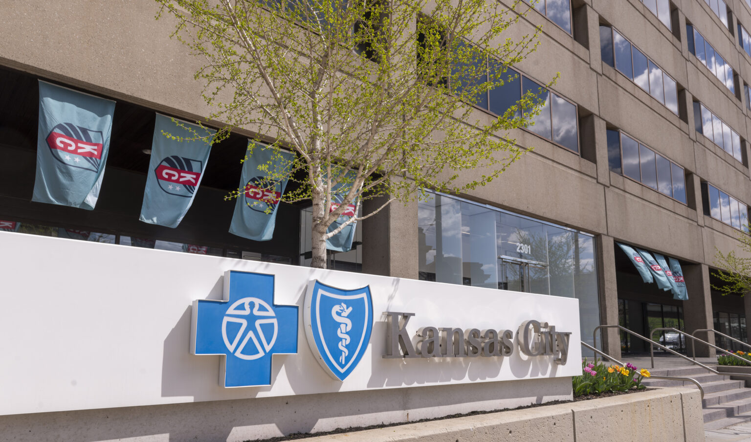 Blue KC Sports Partnerships: 2023 Recap - The Blueprint